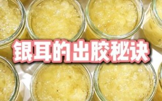 银耳煮了很久还是脆_为什么