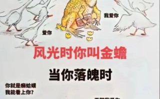 蛤蟆吐蜜耍流氓是什么意思_网络梗起源解析