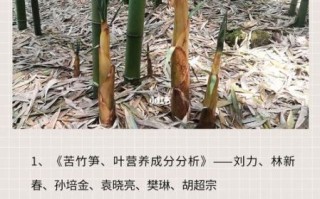 春笋苦的能吃吗_春笋苦味去除方法