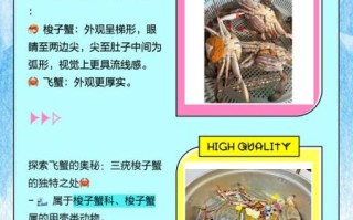 飞蟹和梭子蟹的区别_哪个更好吃