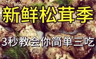 松茸怎么做好吃_松茸的做法大全