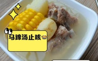 马蹄排骨汤的功效与作用_孕妇能喝吗