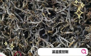 普洱茶怎么保存_普洱茶保存方法