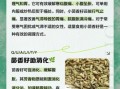 茴香籽炒熟后有什么功效_怎么食用效果好