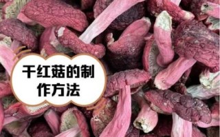 红姑的功效与作用_红姑怎么吃效果最好