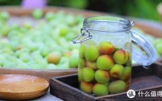 自制青梅酒的危害_青梅酒中毒症状