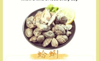 花蛤的营养价值_花蛤吃了有什么好处