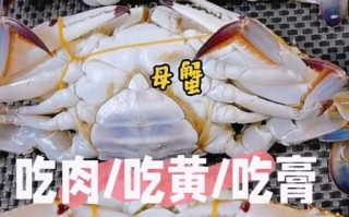 梭子蟹公母哪个好吃_梭子蟹公蟹母蟹区别