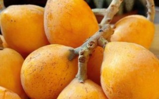 清明吃什么水果_清明时节哪些水果最养生