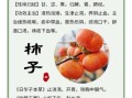 吃柿子的好处和功效_吃柿子能减肥吗