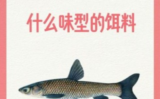 青鱼喜欢吃什么味型的饵料_青鱼饵料味型选择技巧