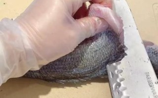 鱼丸怎么做q弹_鱼丸q弹秘诀