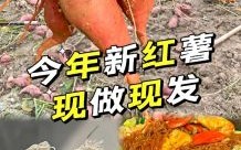 红薯粉条怎么煮才好吃_红薯粉条煮多久才软