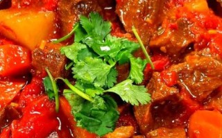 西红柿牛腩怎么做才好吃_西红柿牛腩炖多久最入味