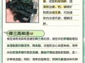 海带绿豆糖水怎么做_海带绿豆糖水的功效与禁忌