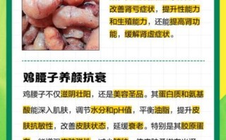 鸡腰子是什么部位_鸡腰子有什么功效
