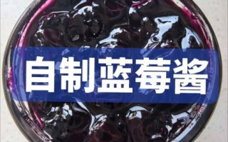 蓝莓酱怎么制作_蓝莓酱的做法步骤