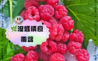 覆盆子哪些人不能吃_覆盆子禁忌人群