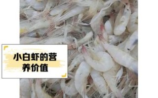 爆炒小白虾怎么做_小白虾要不要焯水 爆炒小白虾怎么做_小白虾要不要焯水