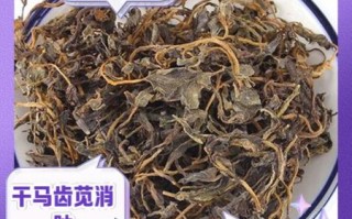 马齿苋的功效与作用_马齿苋能治哪些病 马齿苋的功效与作用_马齿苋能治哪些病