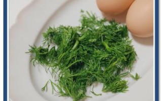 茴香苗炒鸡蛋的功效与作用_孕妇能吃吗