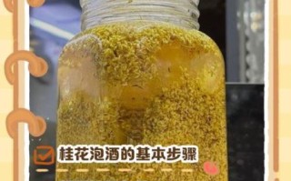 桂花果泡酒步骤_桂花果泡酒需要多久