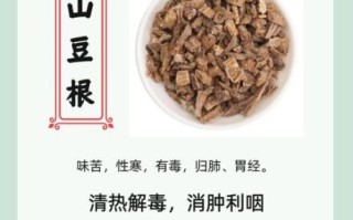 山豆根的功效与作用_山豆根能治什么病