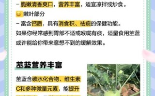 苤蓝什么时候种_苤蓝种植方法详解