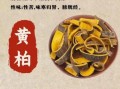 黄柏的功效与作用及禁忌_什么人不能吃黄柏