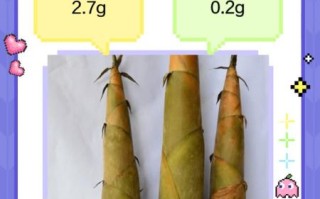 麻竹笋怎么做好吃_麻竹笋的禁忌有哪些
