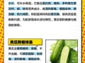 黄瓜热量高吗_黄瓜有哪些营养成分