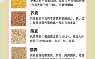五谷养生粉配方大全_五谷养生粉怎么搭配