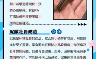泥鳅抗癌是真的吗_泥鳅抗癌成分有哪些