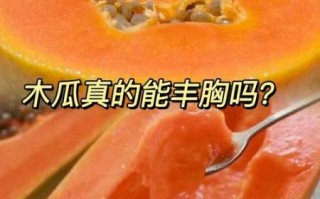 木瓜丰胸真的有用吗_木瓜怎么吃才丰胸