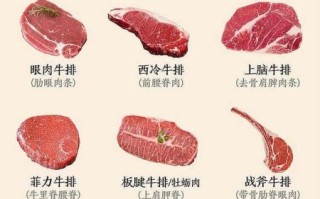 牛排分类有哪些_牛排图片大全怎么选