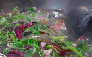 苋菜怎么做好吃又有营养_苋菜的家常做法大全