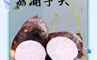 香芋和芋头哪个好吃_口感区别在哪