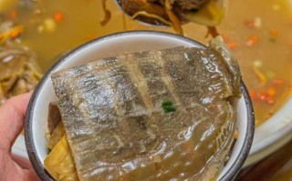 甲鱼汤的功效与禁忌_高血压能吃甲鱼汤吗