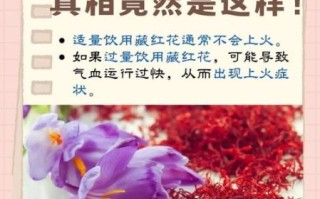 藏红花有什么功效与作用_藏红花主治哪些疾病