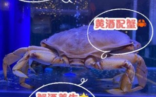 吃螃蟹能喝白酒吗_吃螃蟹喝白酒会中毒吗