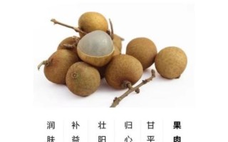 龙眼的功效与作用_龙眼哪些人不能吃