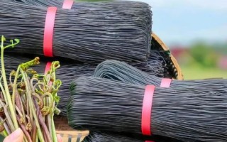 蕨根粉怎么做好吃_蕨根粉热量高吗