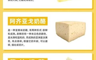 奶油奶酪是芝士吗_奶酪和芝士的区别