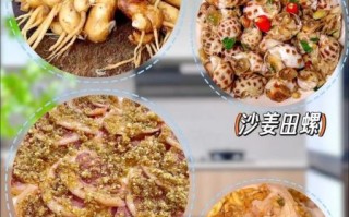 沙姜鸡调料怎么做_正宗沙姜蘸料配方