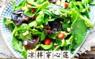 穿心莲凉拌菜怎么做_穿心莲凉拌要不要焯水