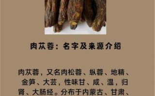 肉苁蓉壮阳多久见效_吃多久才有明显效果