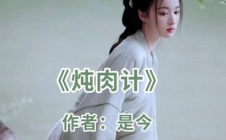 炖肉计是什么_炖肉计小说全文免费阅读