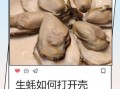 生蚝怎么开壳方便_生蚝开壳最简单的方法