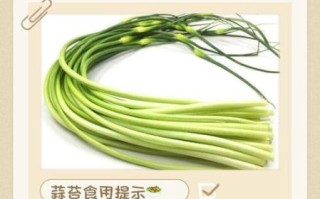 女人吃蒜苔坏处_蒜苔对女性有哪些副作用