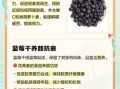 蓝莓干的功效与作用_蓝莓干一天吃多少合适